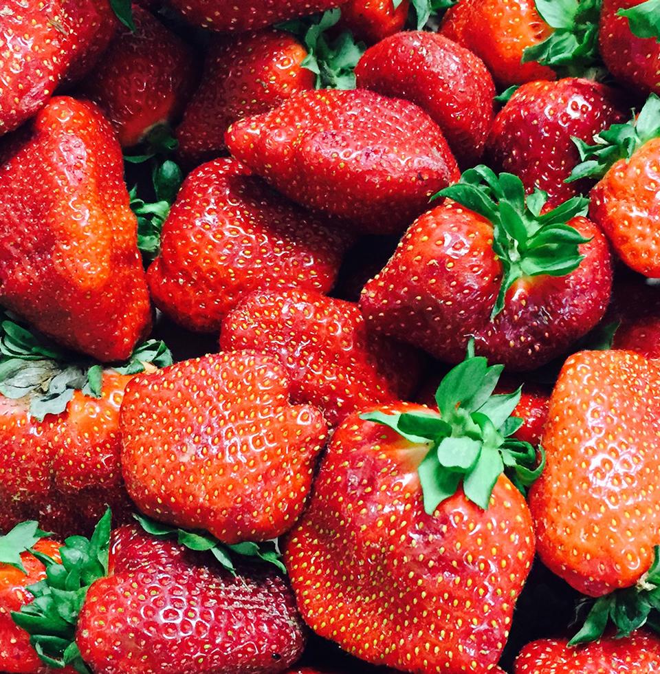 Flavors - Lickin Lizard Dippers Ice Cream