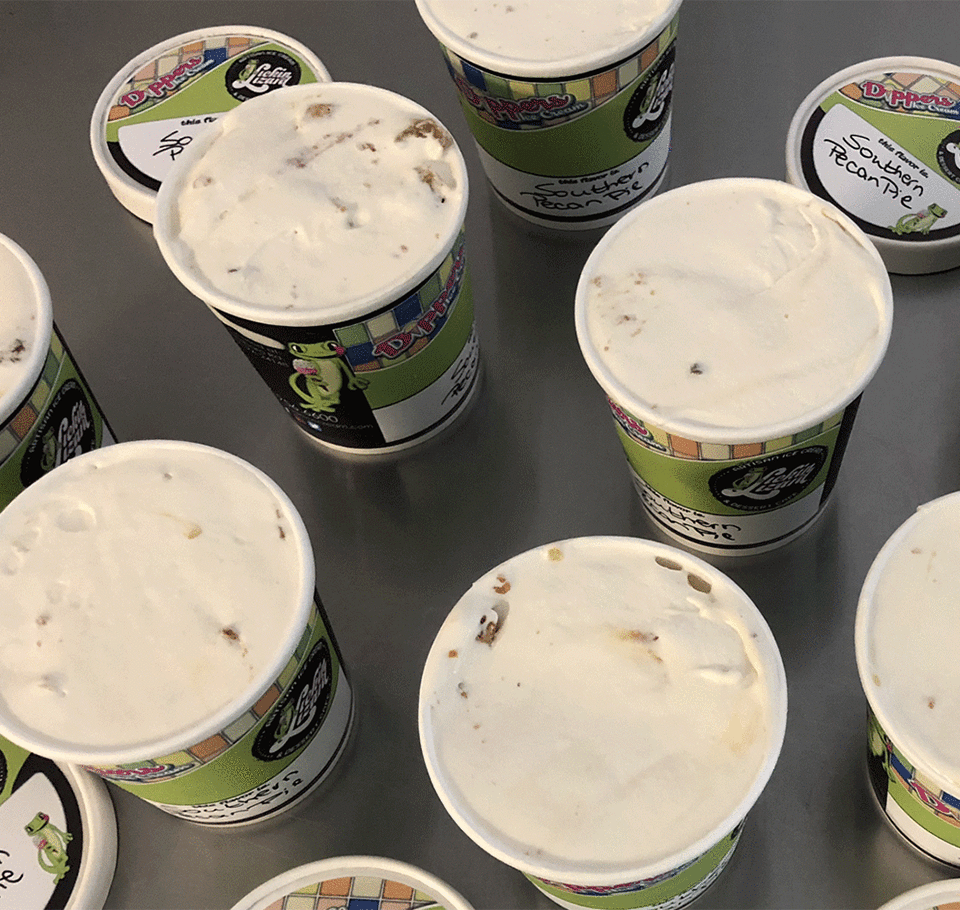 Follow the Lizard - Lickin Lizard Dippers Ice Cream