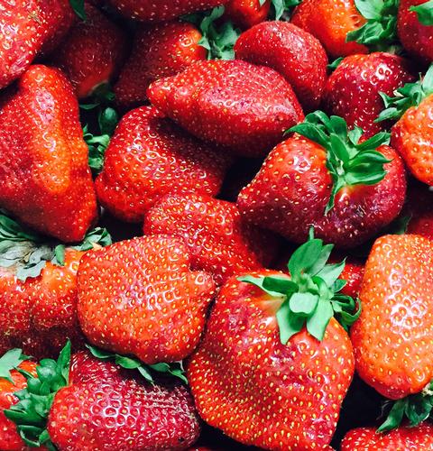 Flavors - Lickin Lizard Dippers Ice Cream