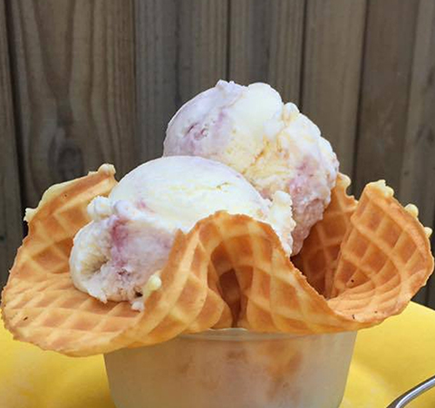 Lickin Lizard Dippers Ice Cream