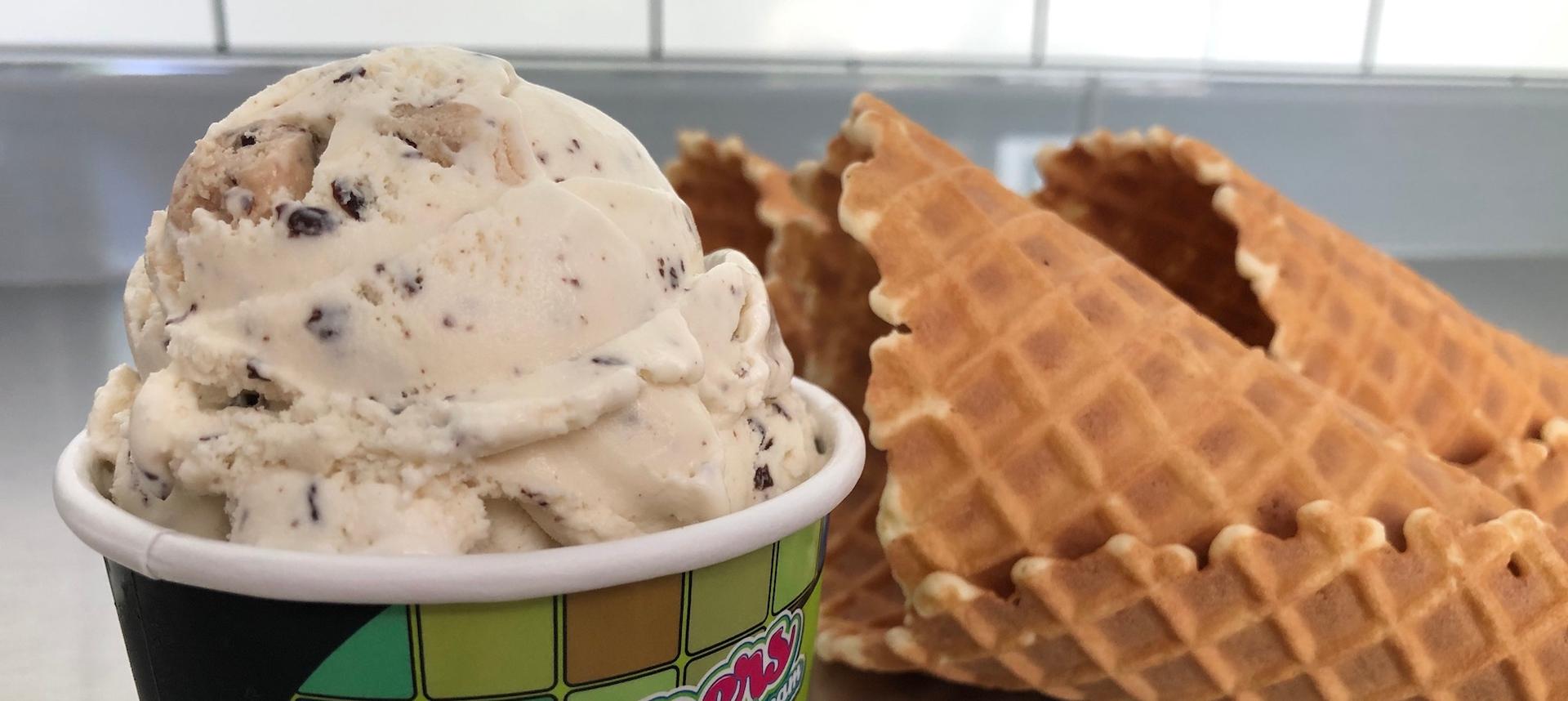 Lickin Lizard Dippers Ice Cream