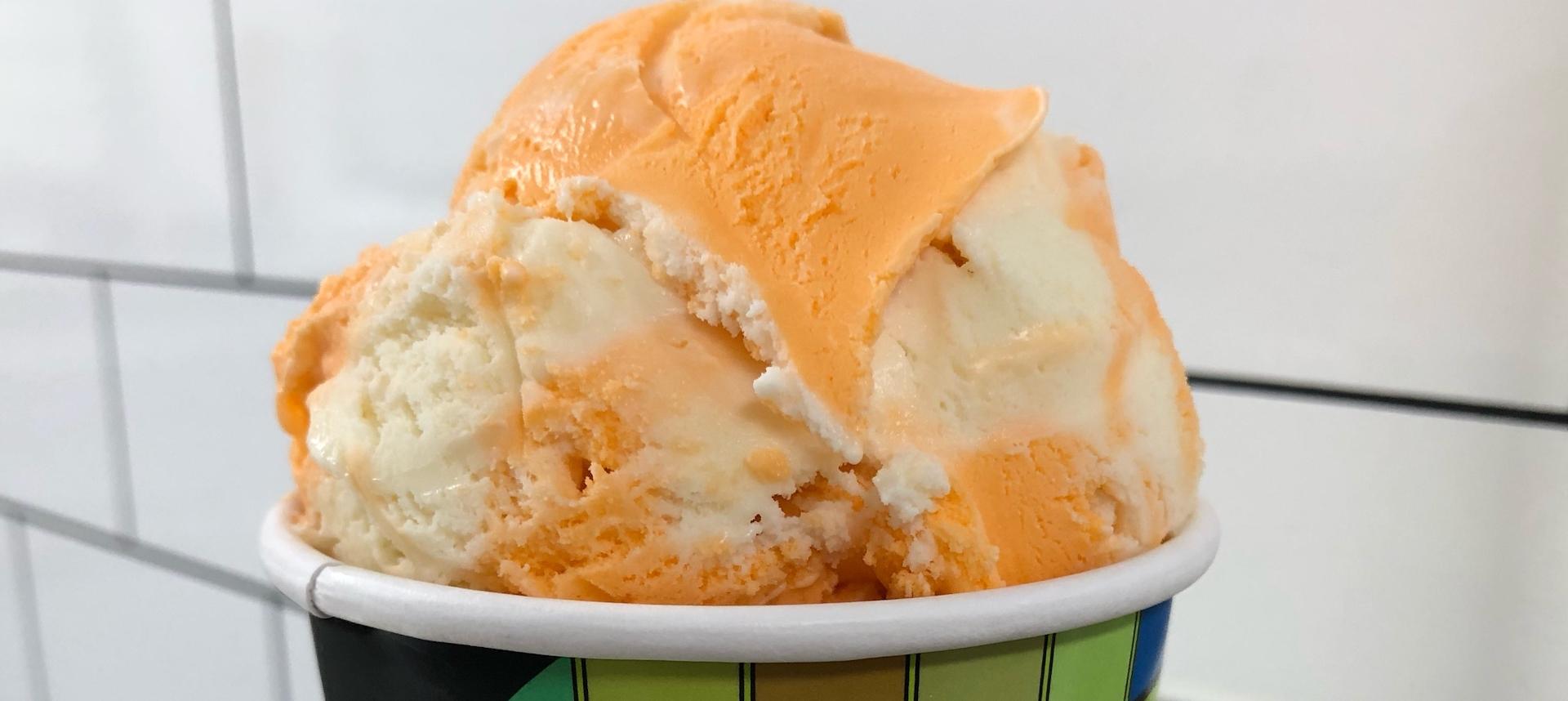 Lickin Lizard Dippers Ice Cream