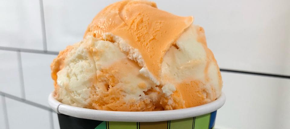 Lickin Lizard Dippers Ice Cream